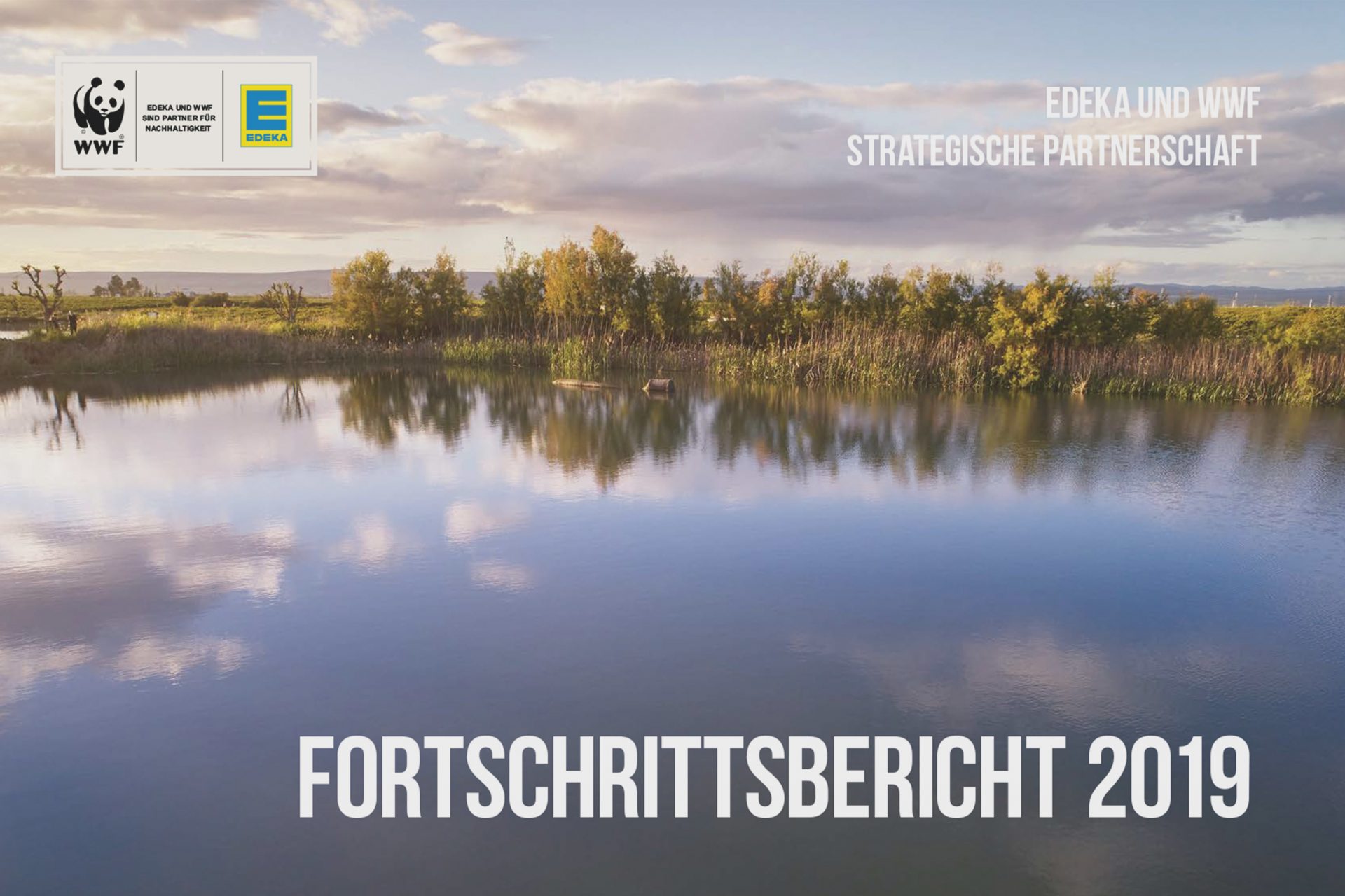 EDEKA-Verbund und WWF: Erfolgsfaktor Nachhaltigkeit - #zukunftleben