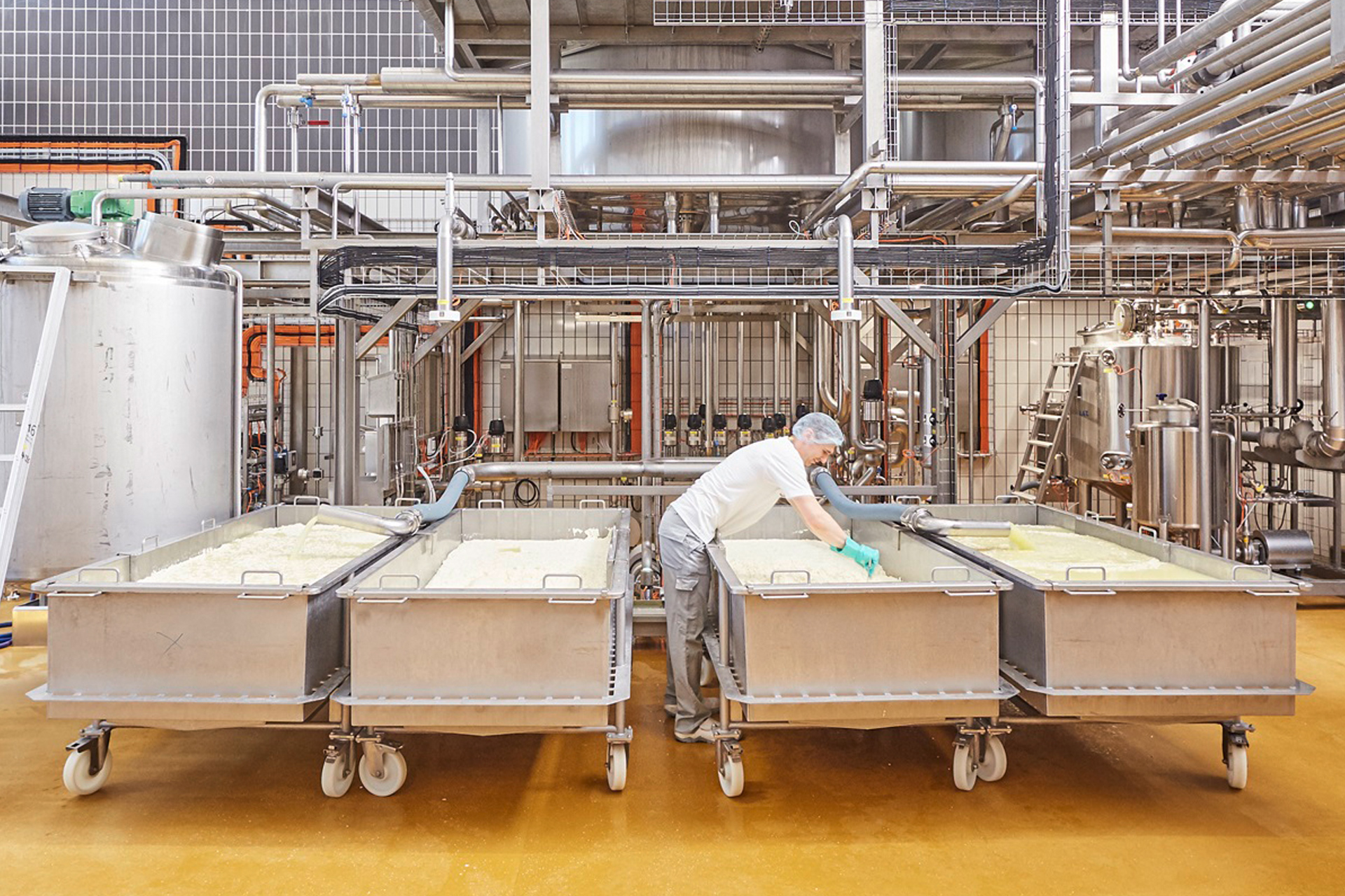 Wie aus Demeter HeuMilch Mozzarella wird - #zukunftleben