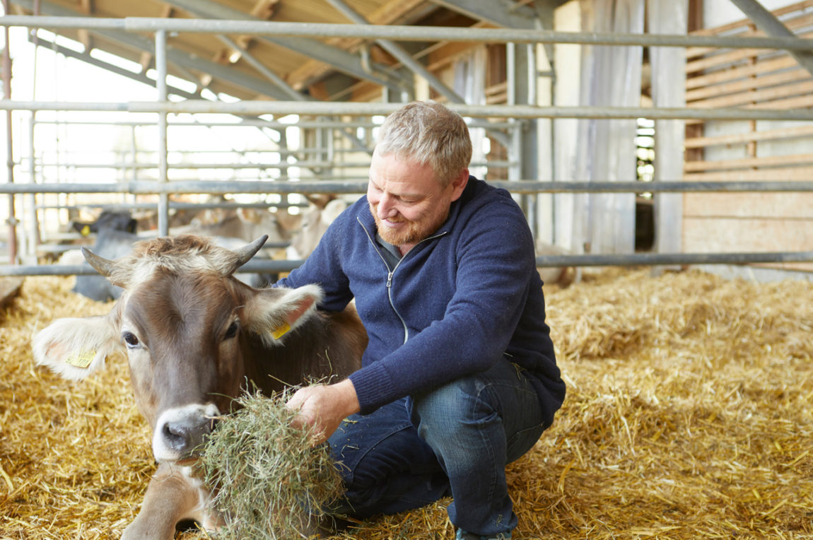 Wie aus Demeter HeuMilch Mozzarella wird - #zukunftleben