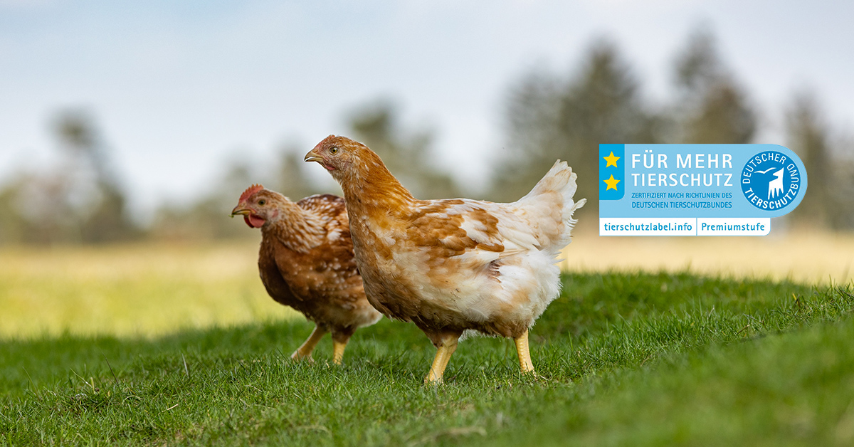 Darauf sind wir stolz: zehn Jahre Tierschutzlabel - #zukunftleben