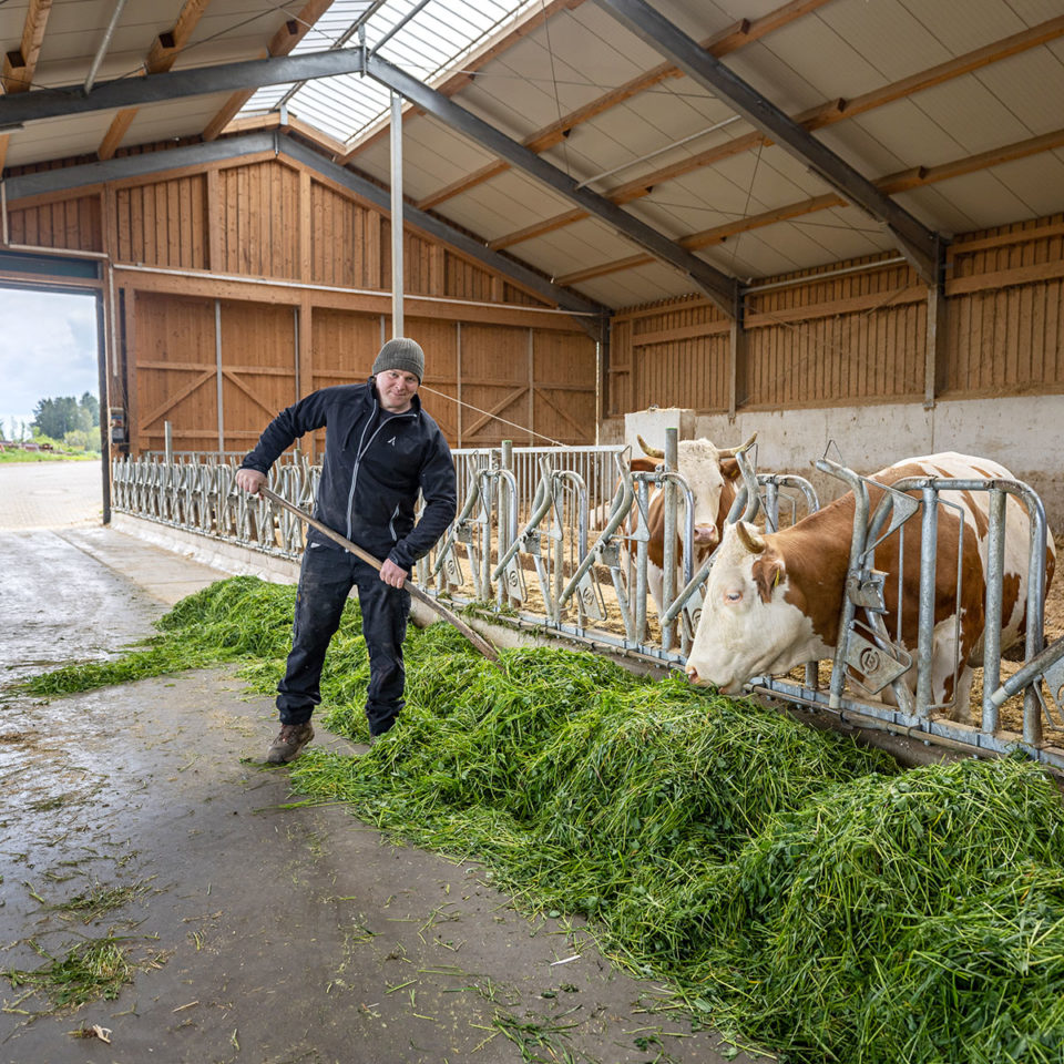 Bioland-Rinder: zu Besuch auf dem Hof von Familie Kugler - #zukunftleben