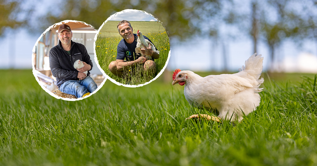 „2 in 1 Huhn“: neues Projekt für mehr Tierschutz - #zukunftleben