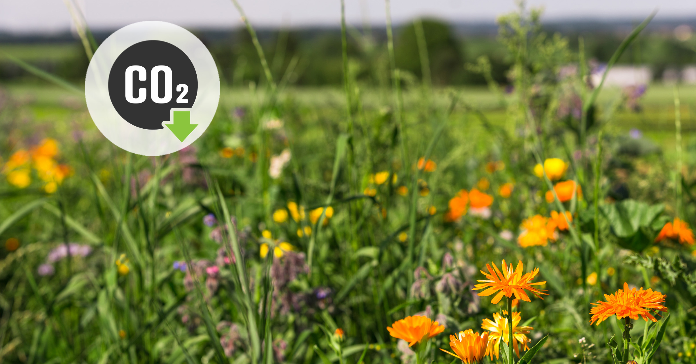 Landwirtschaft & Klimaschutz: Projekt zur CO₂-Reduzierung - #zukunftleben