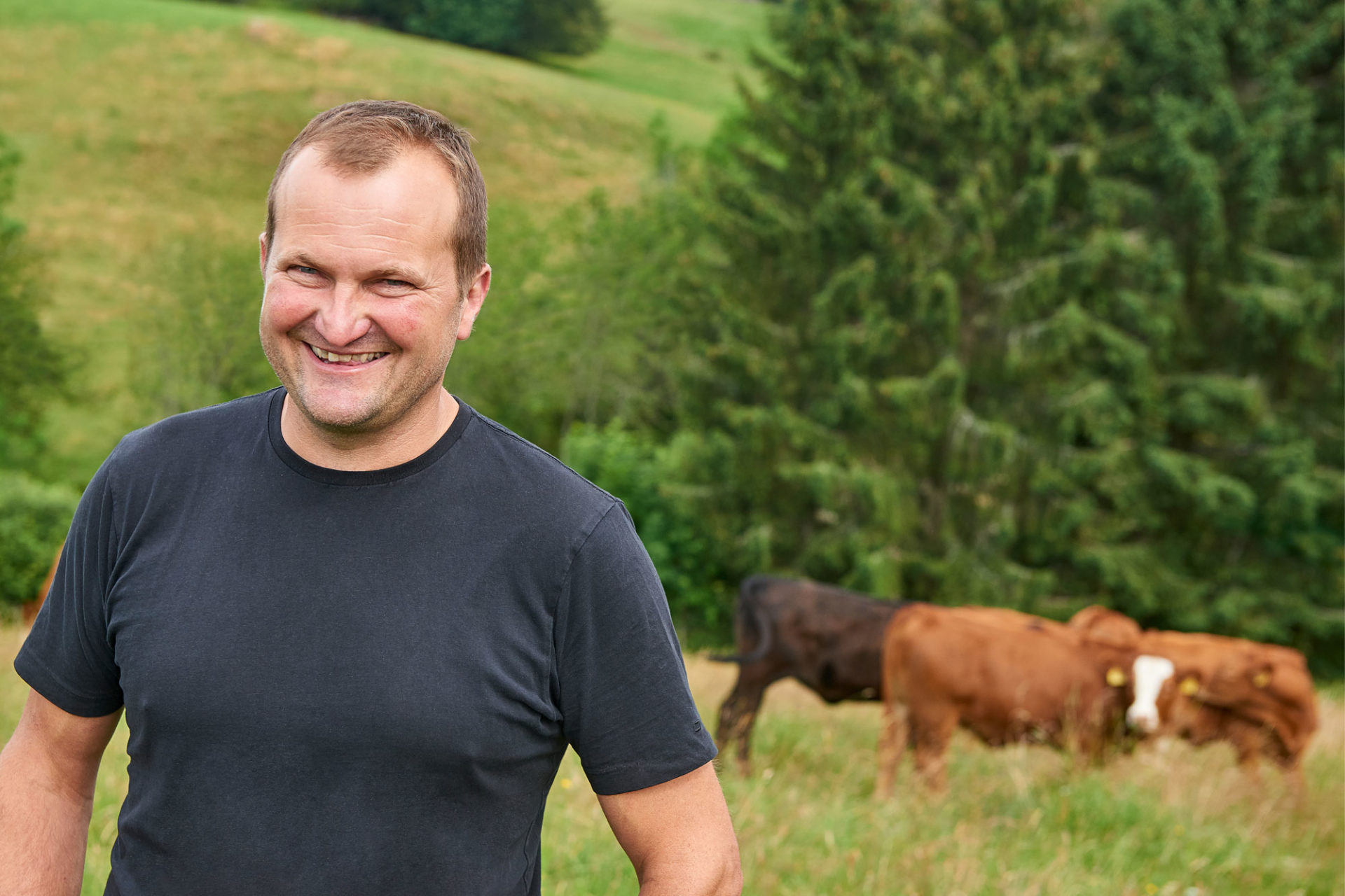 Frühling in der Landwirtschaft: was in den Betrieben passiert - # ...