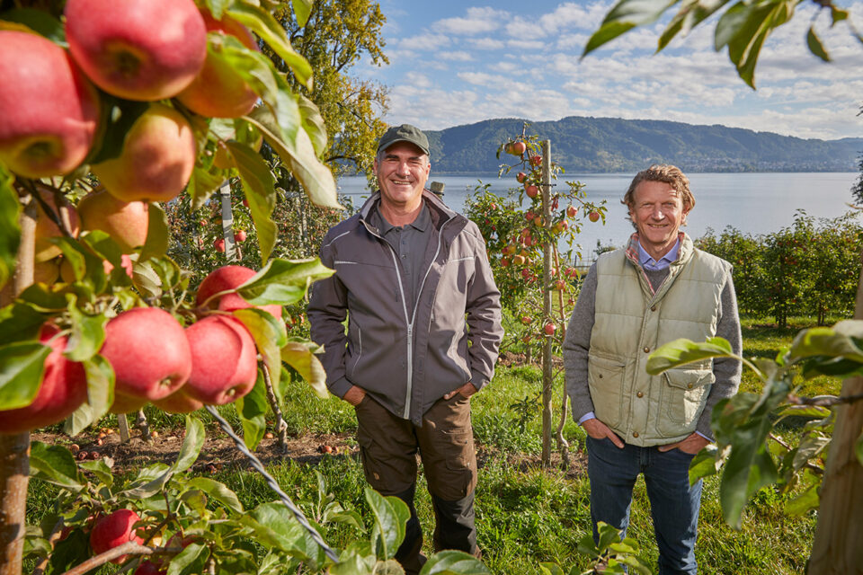 Apfel-Wissen zum Staunen: 9 spannende Fakten - #zukunftleben